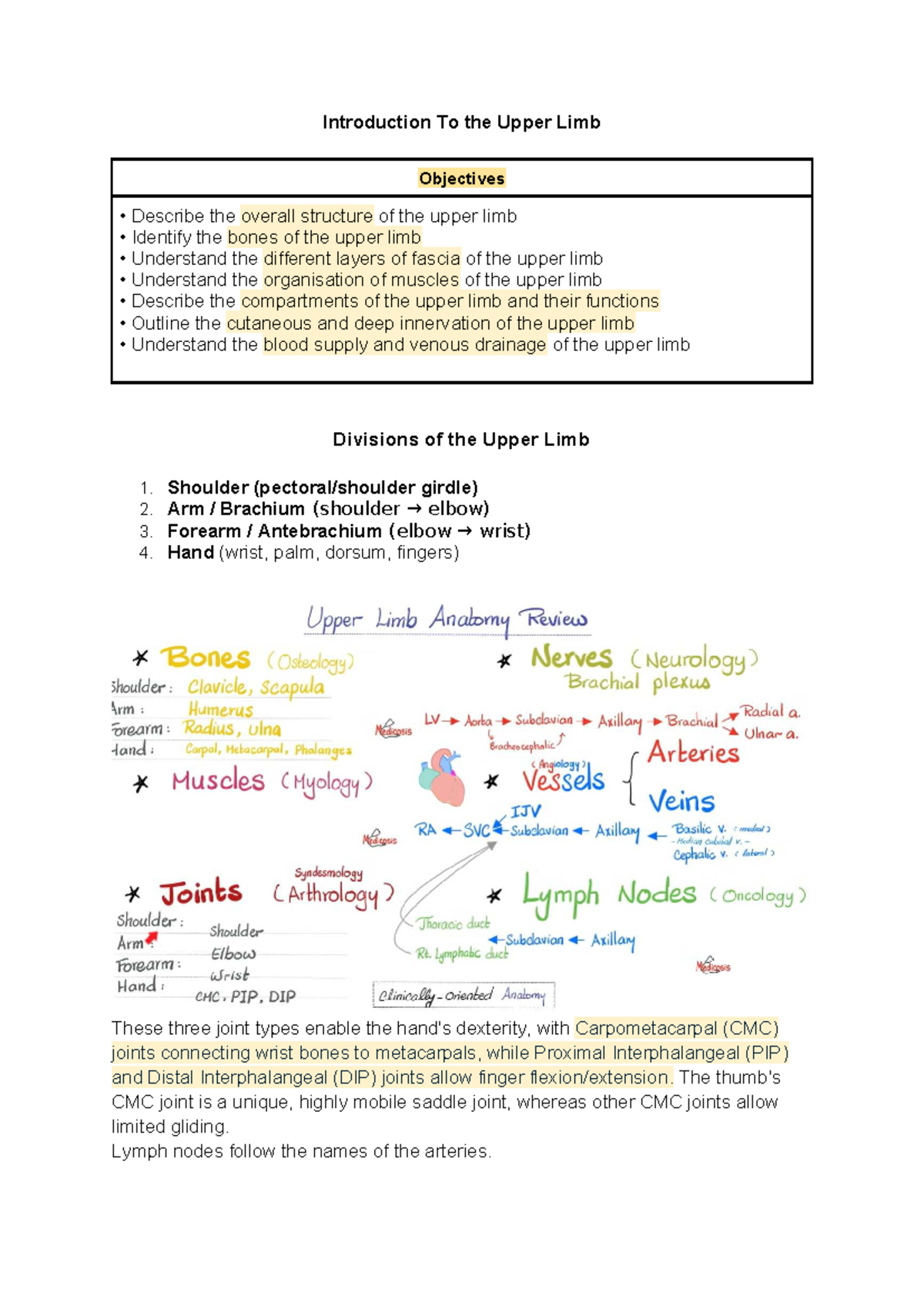 Upper Limb Anatomy Overview: Key Structures & Functions (ANAT 101 ...