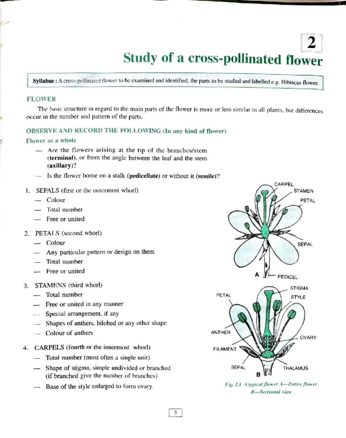 Biology Practical Work 9: Flower Structure & Experiments - Studocu