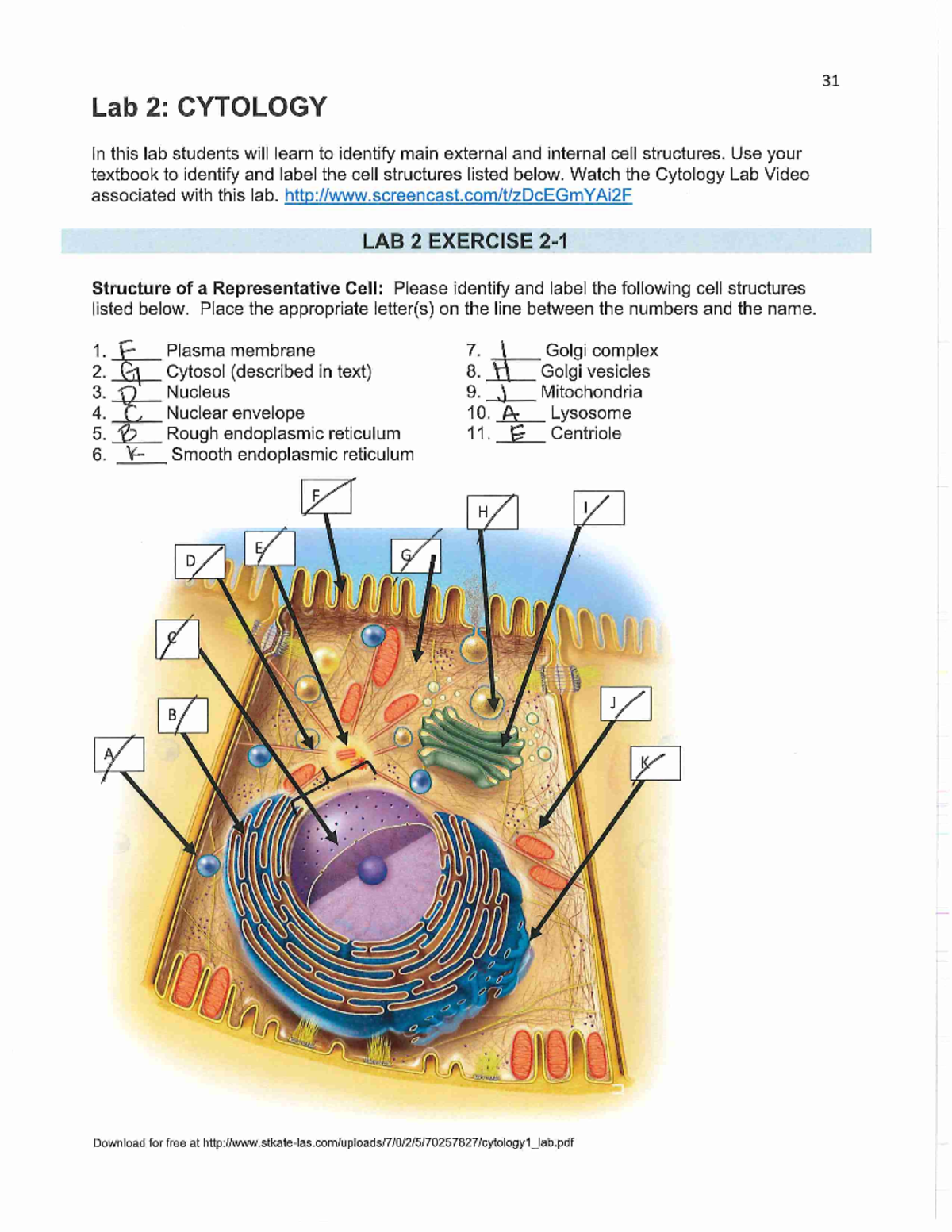 Lab2 - week2 lab - BIOL 250 - Studocu