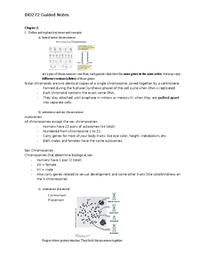 Genetics and Cell Division Study Guide: Mitosis, Meiosis & Mendelian ...