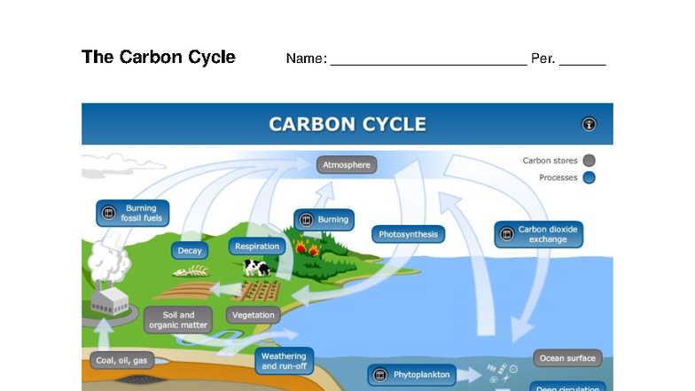 Carbon Cycle Worksheet: Understanding Sources & Sinks - Studocu