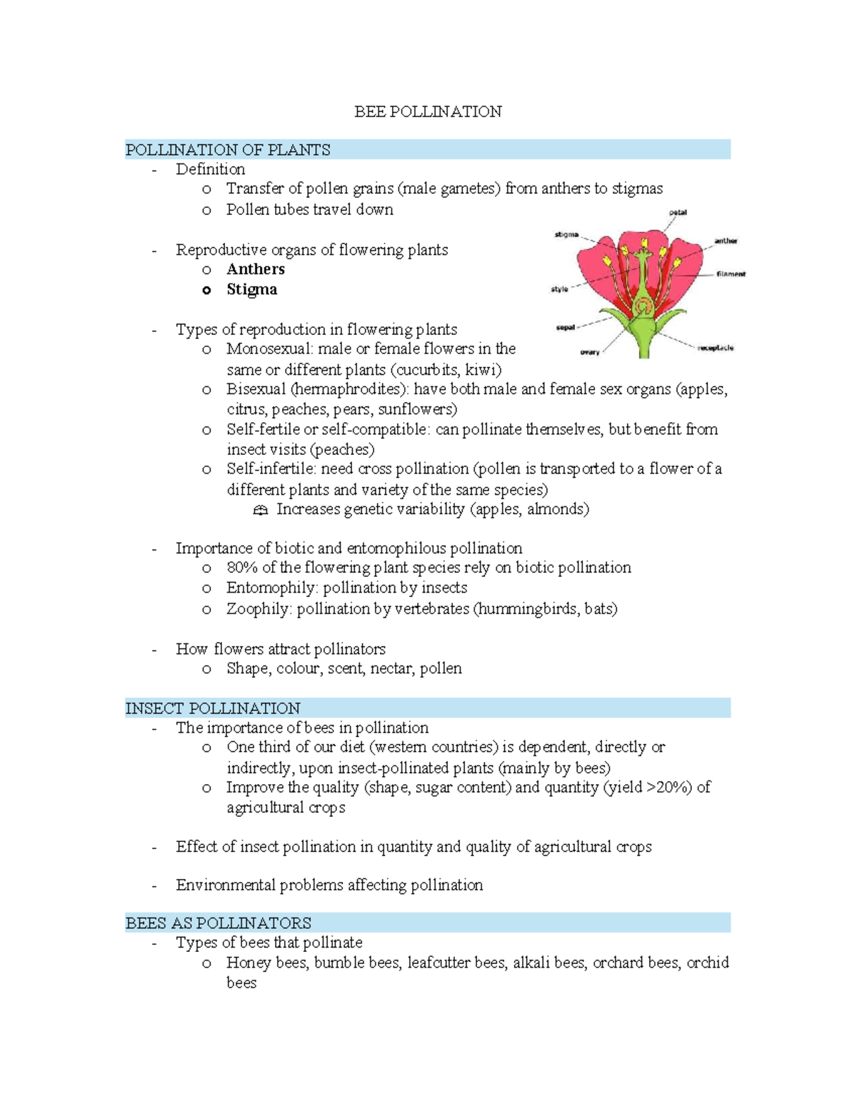 BEE 101: The Role of Bees in Plant Pollination and Crop Production ...