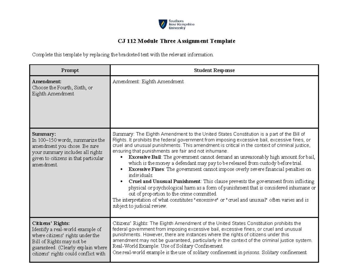 CJ 112 Eighth Amendment Analysis: Rights and Implications in Criminal ...