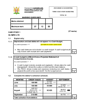 Gr12 Audit-reports-and-Corporate-Governance Worksheet - 8 ACCOUNTING ...
