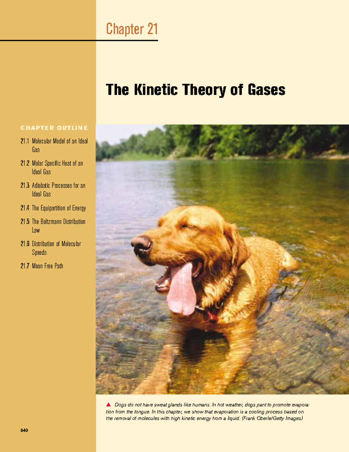 Chapter 21: The Kinetic Theory of Gases - CD 21 Cơ nhiệt - Studocu