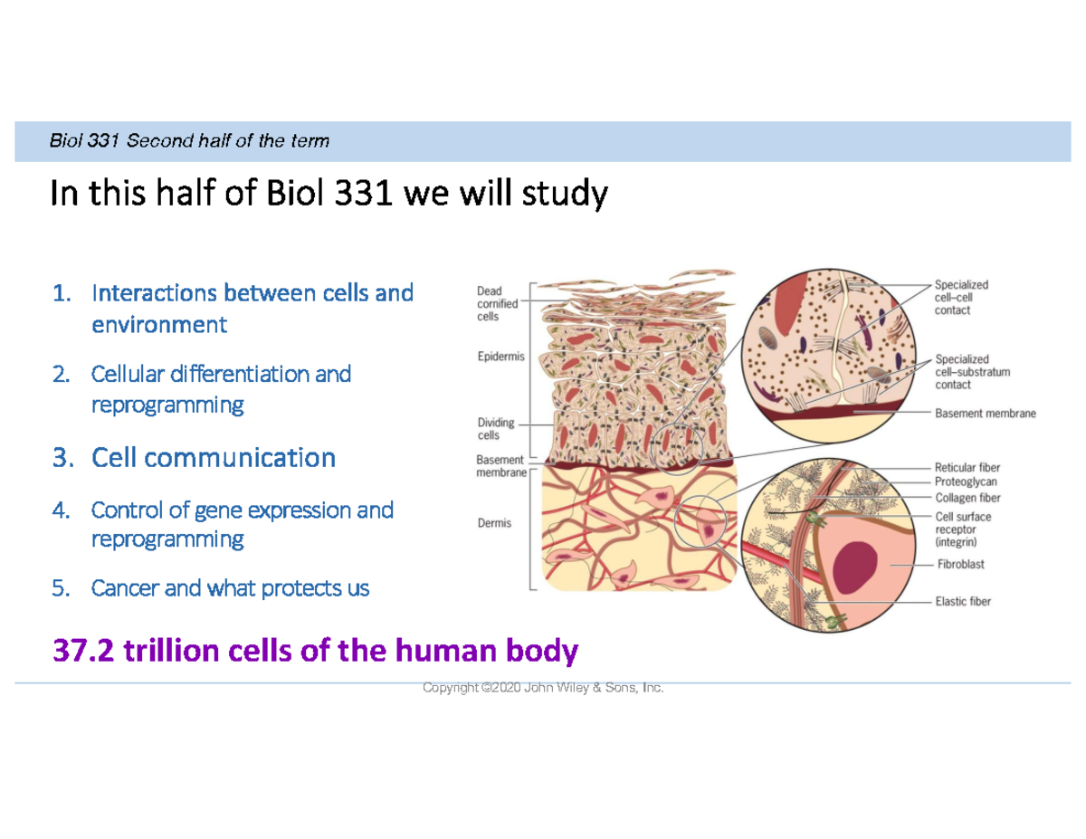 Biol 331 Lecture Notes: Module 3 - Cell Communication & Signal ...