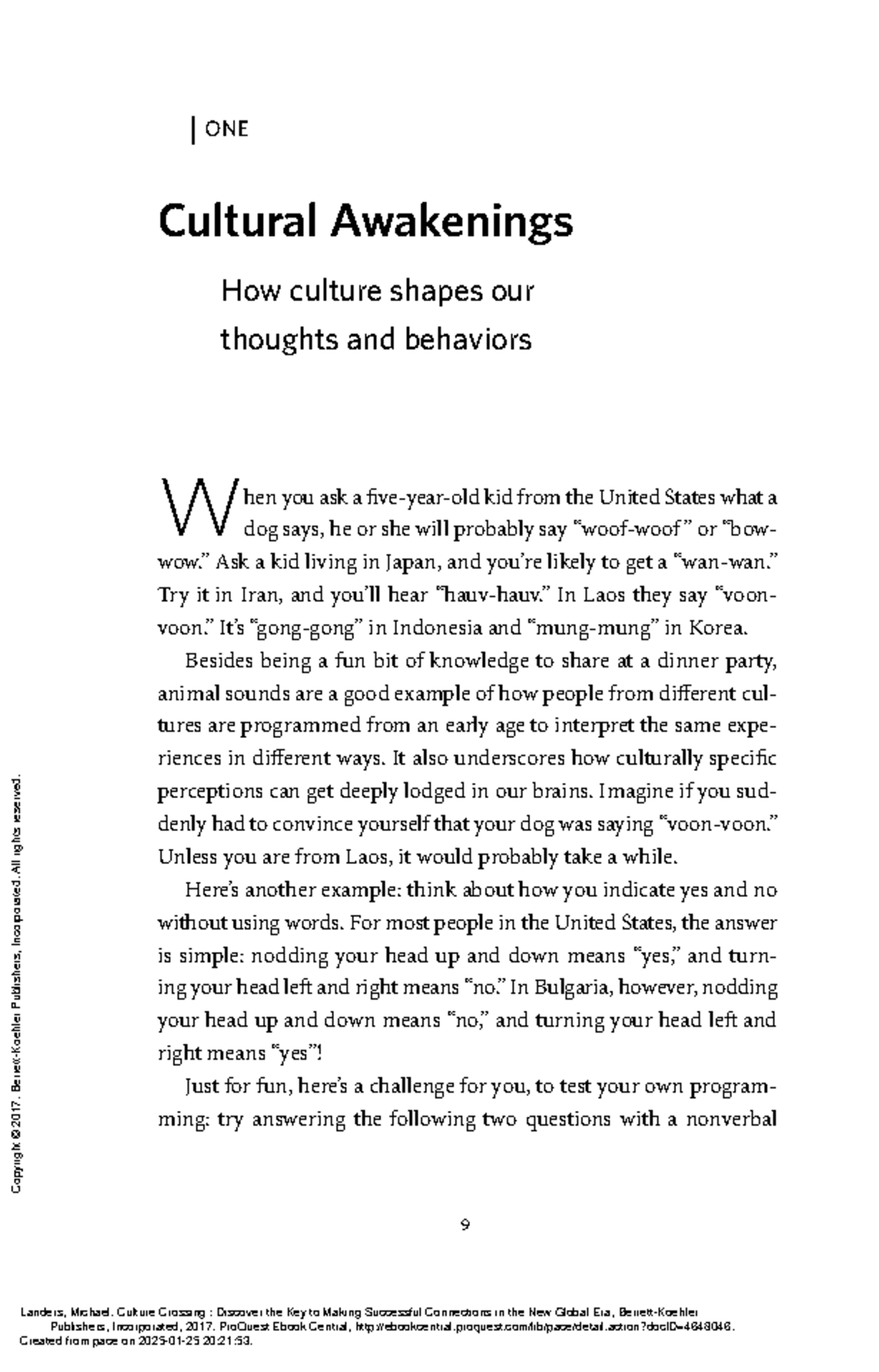 Cultural Awakenings: Understanding Your Programming in a Global Context ...