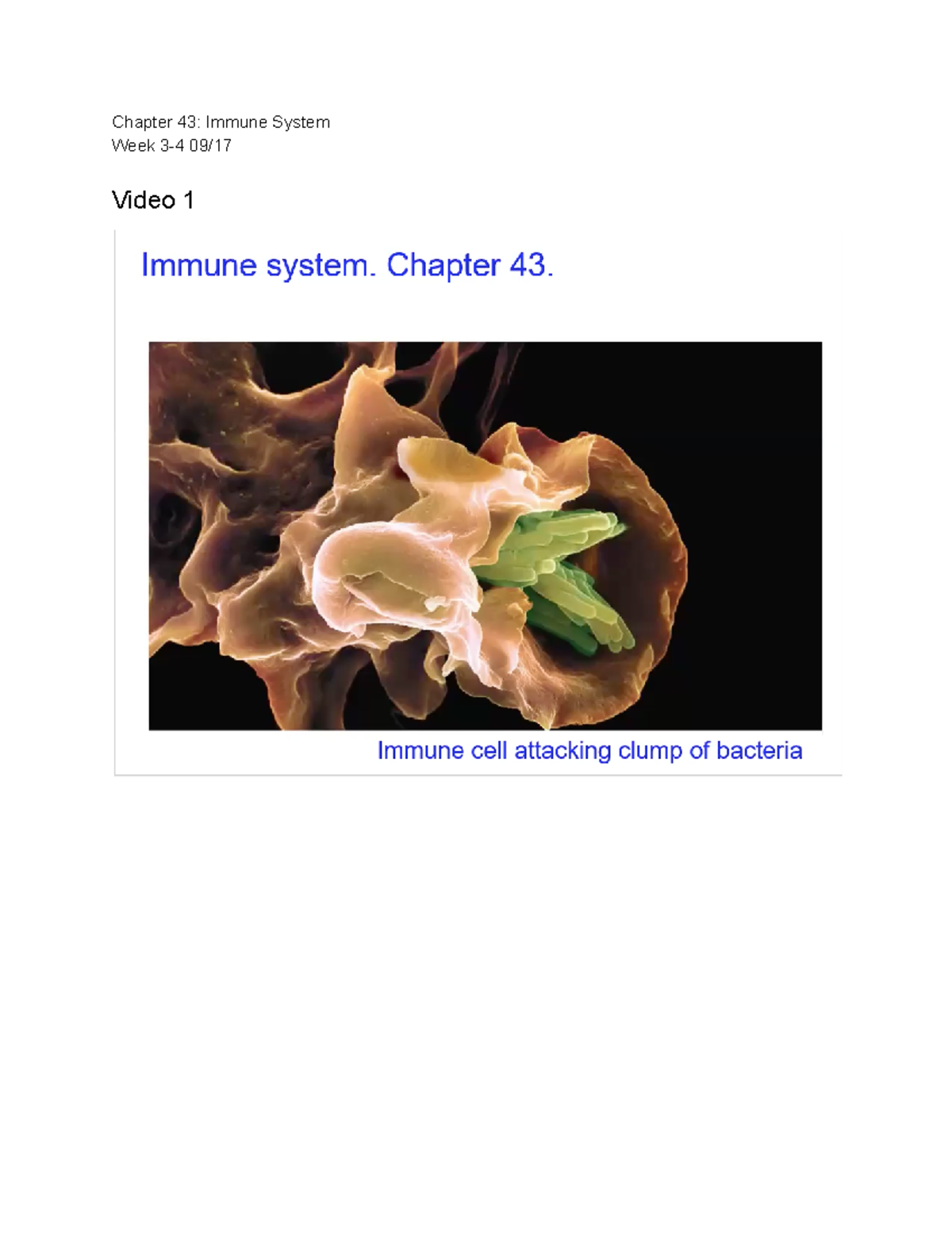 Bio 2 ch43 Immune system Dr. Alaie - Chapter 43: Immune System Week 3-4 ...