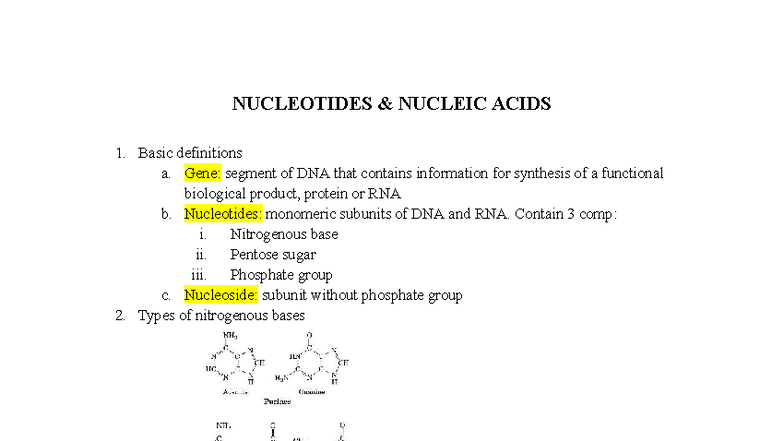 Biochem Test 3: Nucleotides and Nucleic Acids Overview - Studocu