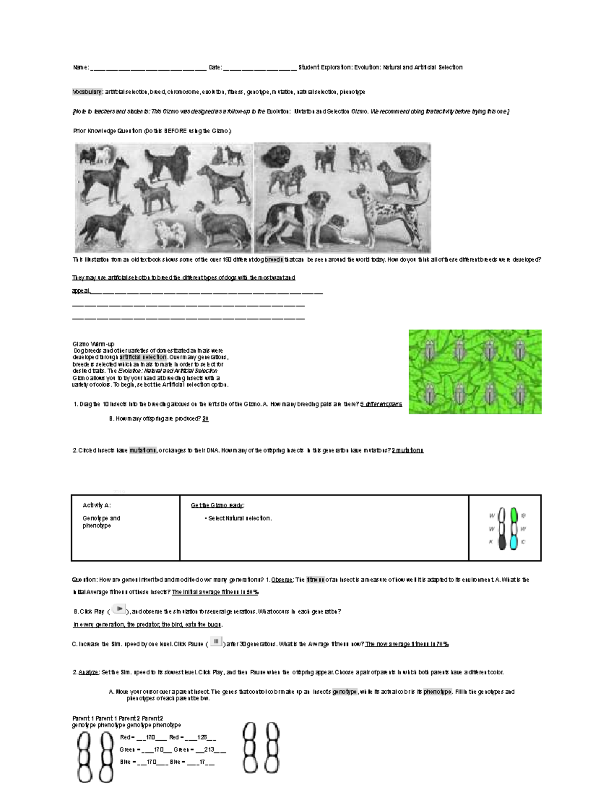 Evolution: Natural and Artificial Selection Study Guide (Course Code ...