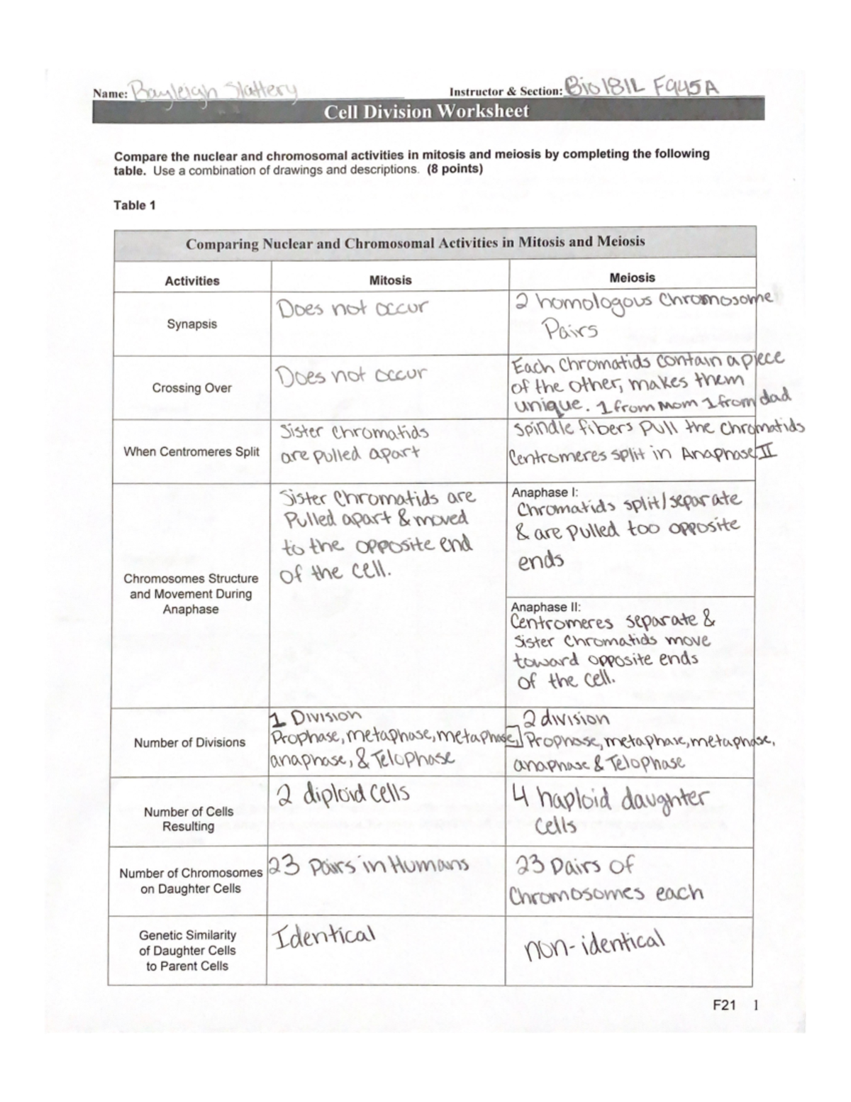Bio 181L F945A Lab: Mitosis & Meiosis Cell Division Worksheet - Studocu