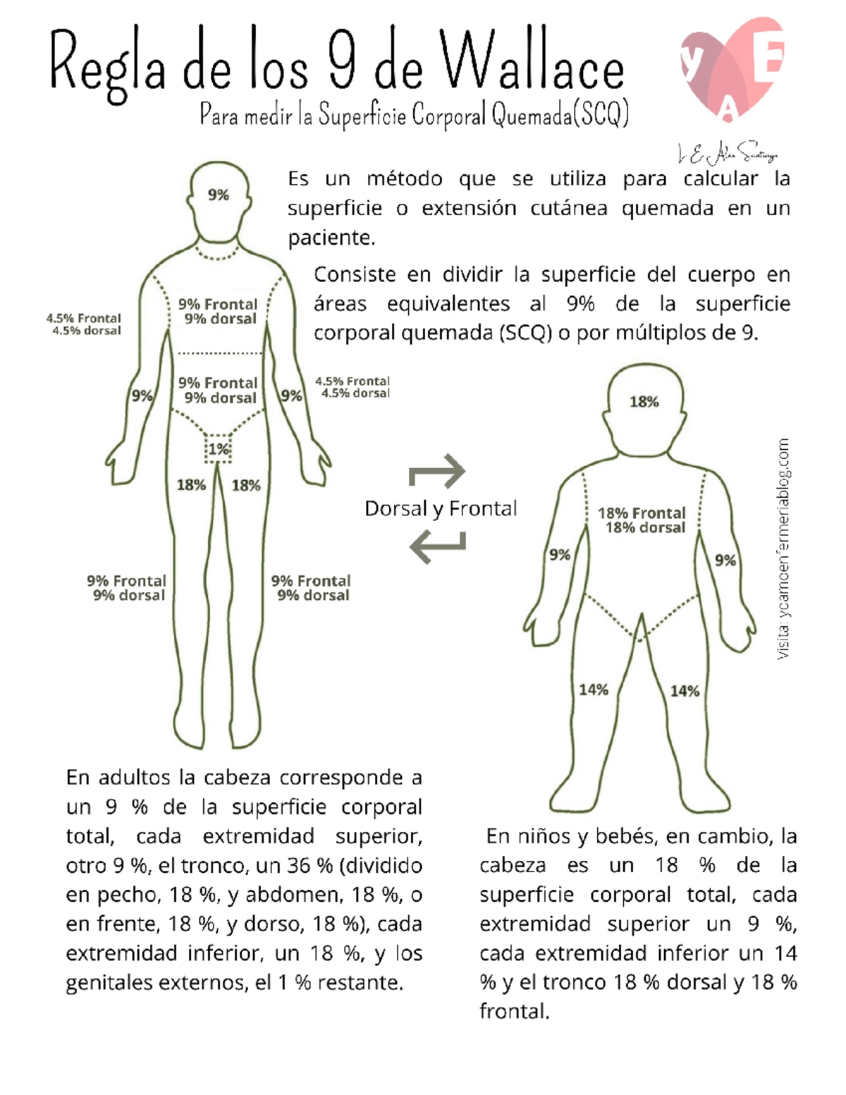 Regla de 9 de Wallace para Superficie Corporal Quemada (SCQ) - Studocu