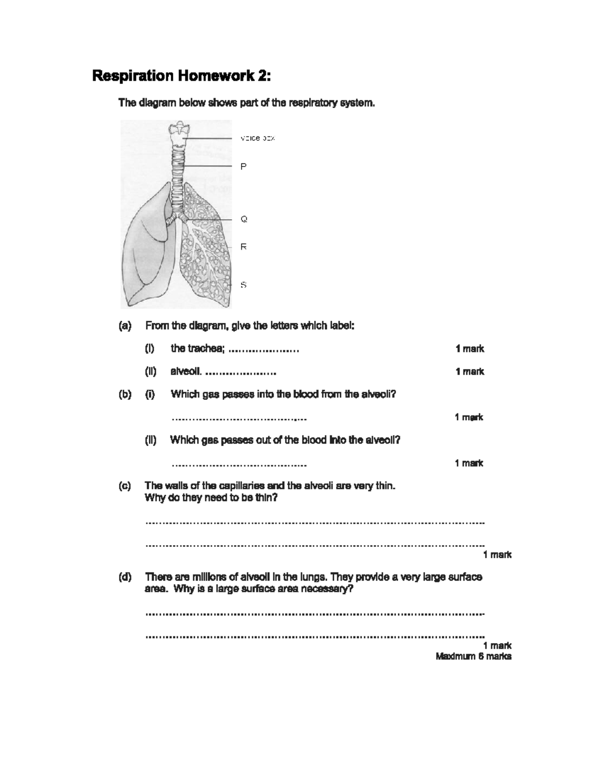 Respiration & Breathing Questions Homework (Biology 101) - Studocu