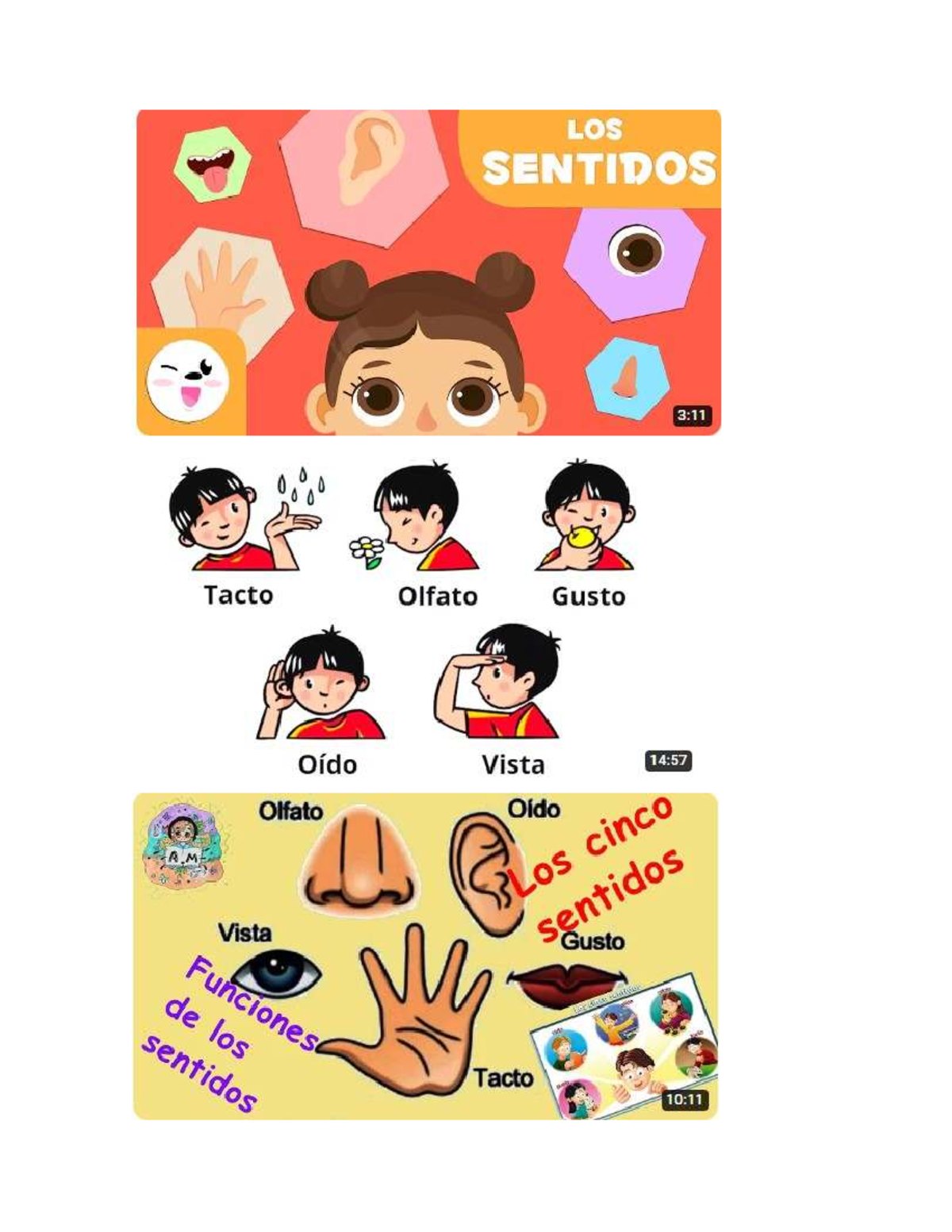 LOS 5 Sentidos del Cuerpo Humano: Vista, Oído, Gusto, Olfato, Tacto ...