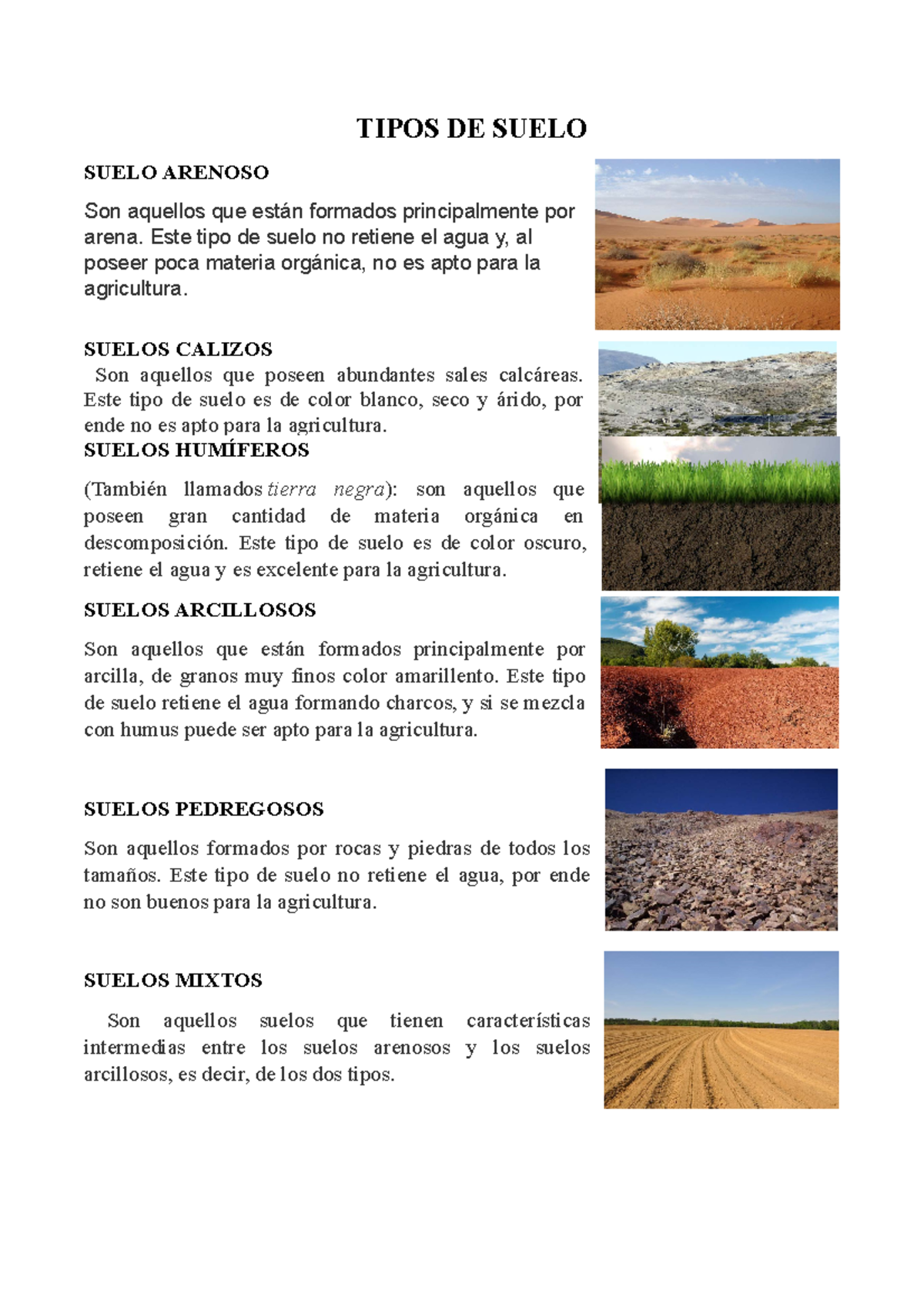 Tipos DE Suelo - TIPOS DE SUELO SUELO ARENOSO Son aquellos que están formados principalmente por ...