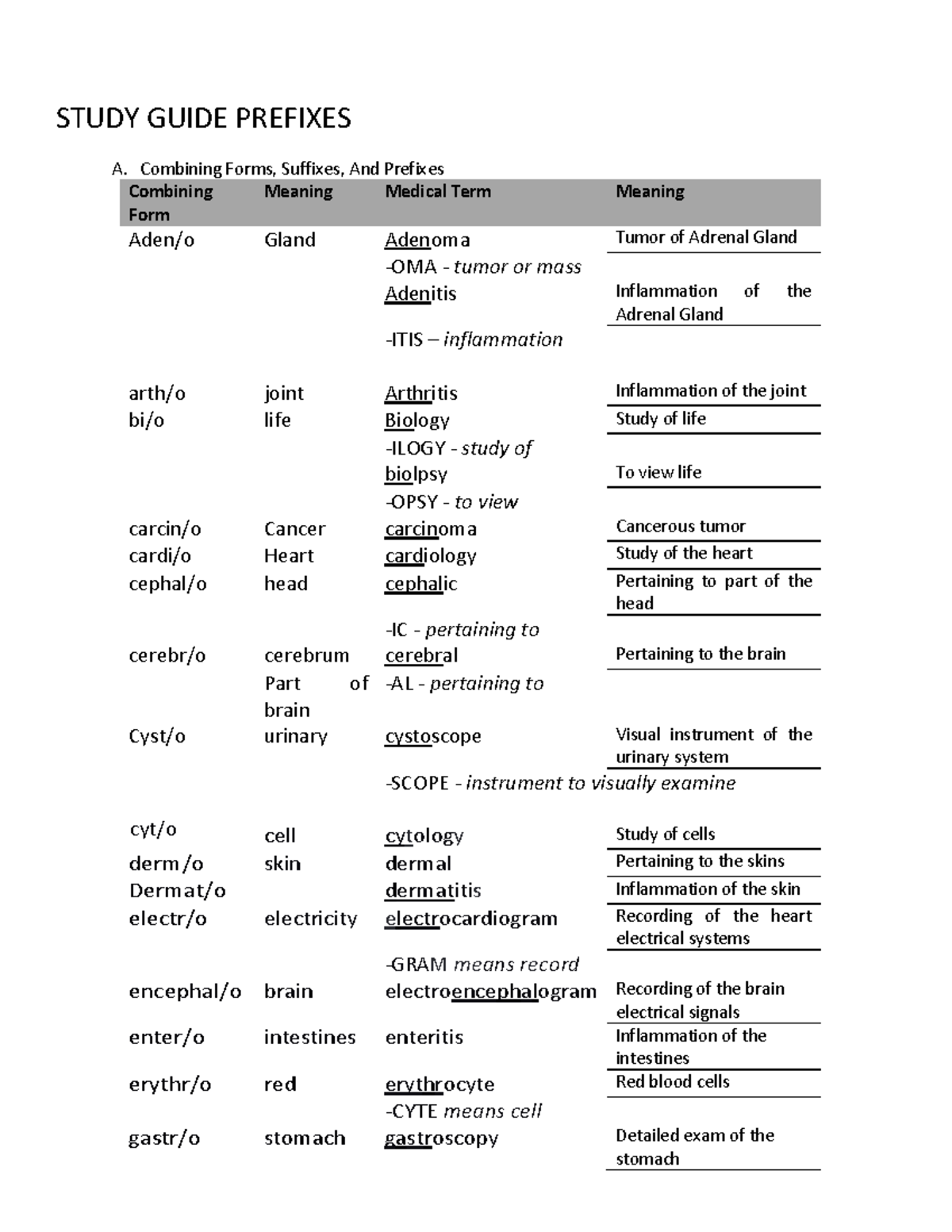 Terminology 1 - Medical Terminology Study Guide: Prefixes & Suffixes ...