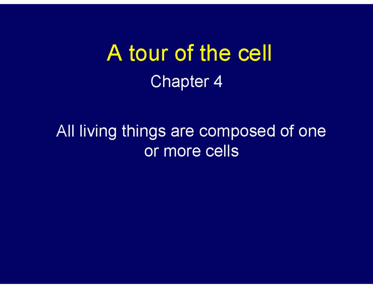 Eukaryotic Cells: Structure, Function, and Evolution (Chapter 4) - Studocu