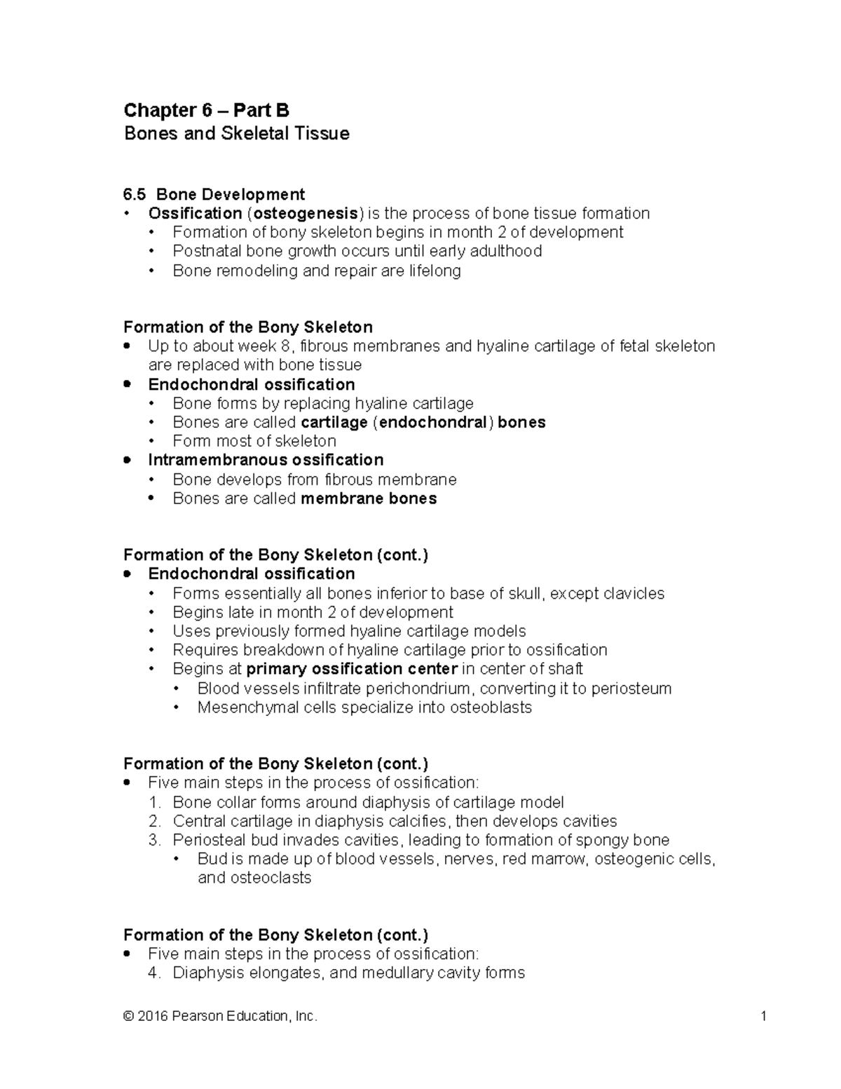 CH.6B, Bones and Skeletal Tissue Lecture Notes - Chapter 6 Part B Bones ...