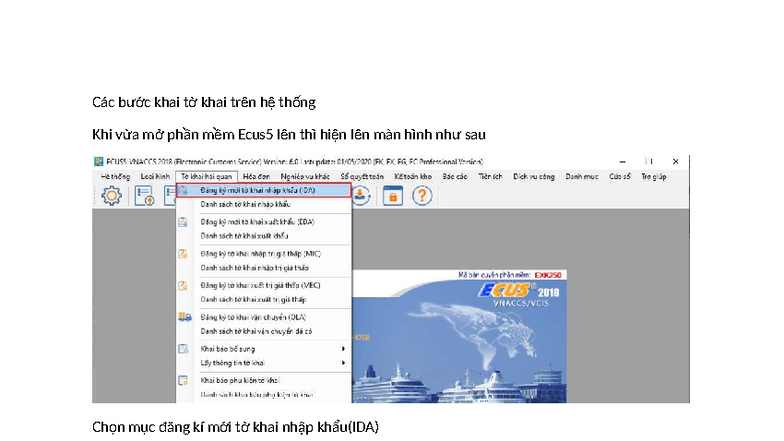 Hướng Dẫn Khai Tờ Khai Nhập Khẩu Trên Hệ Thống Ecus5 - Studocu