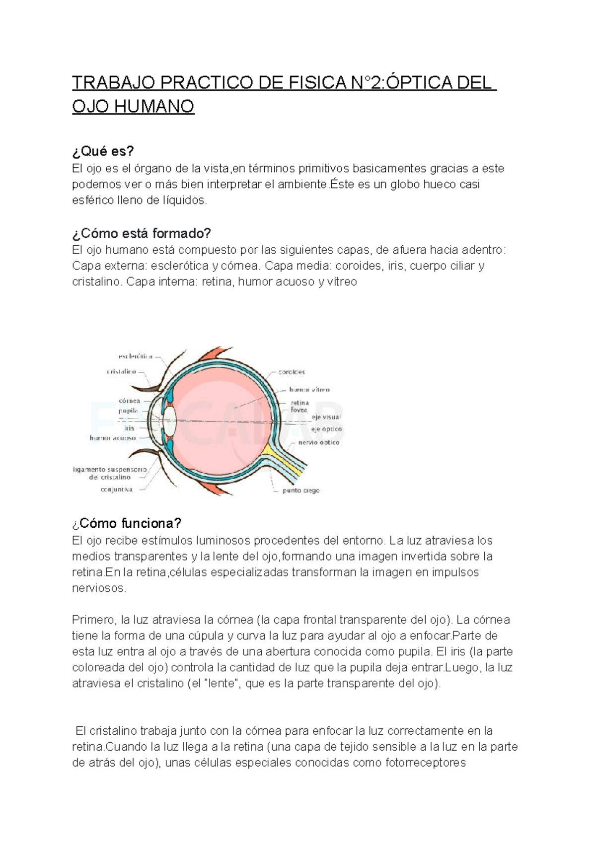 TP 2 FISICA - Óptica del ojo humano y su funcionamiento - Studocu