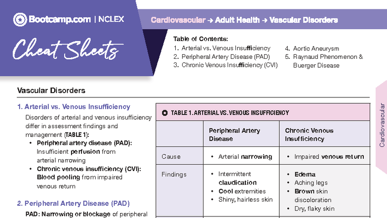 Vascular Disorders Cheat Sheet: PAD, CVI, and Related Conditions - Studocu