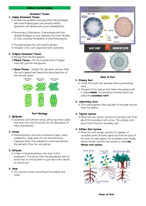 PBOT 111 WEEK 16 - FINALS - PBOT 111 FINALS (WEEK 16): OUTLINE: III. PLANT CLASSIFICATION AND ...
