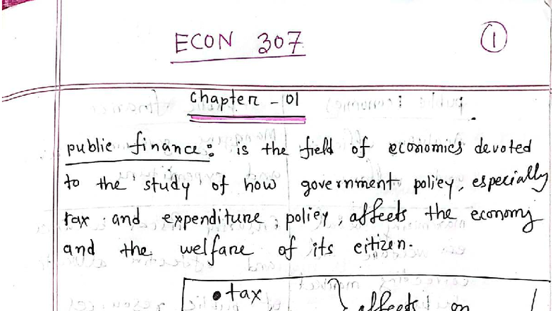 ECON 307 I: Chapter 01 - Introduction to Public Finance and Economics ...