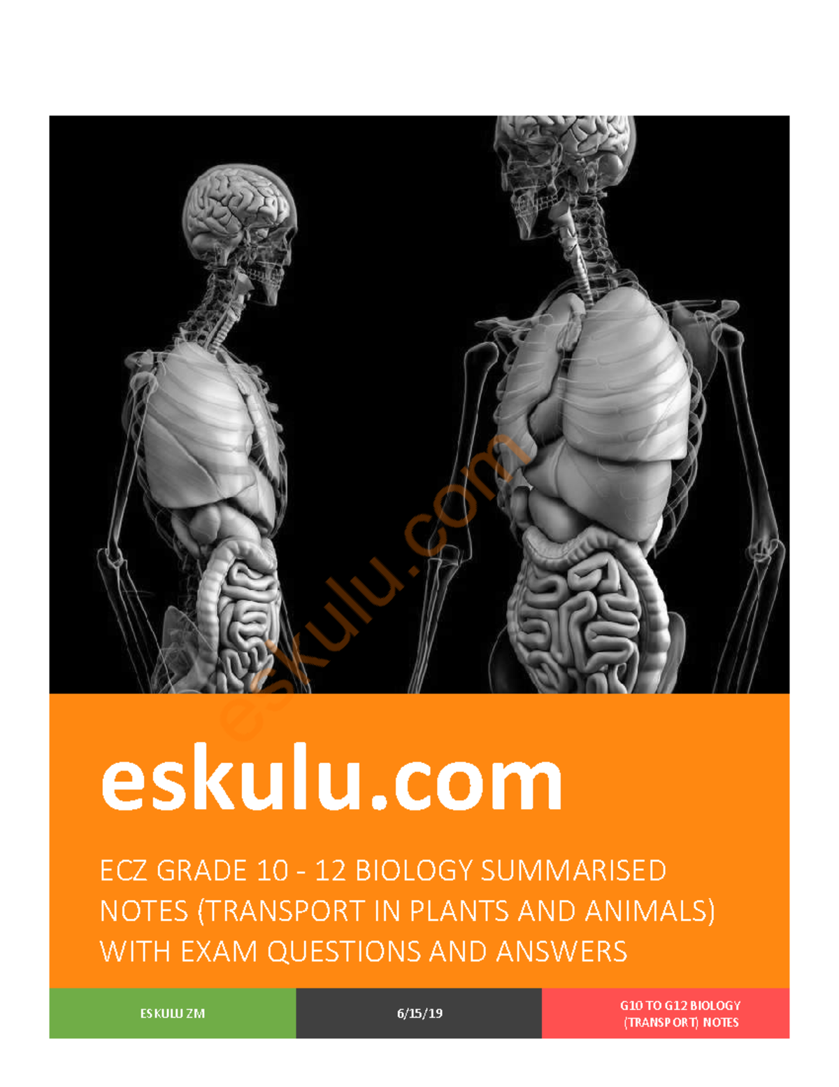 G10-G12 Biology Revision: Transport in Plants & Animals Notes - Studocu