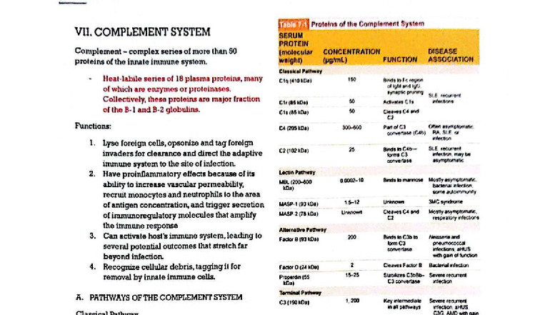Complement System Proteins: Midterm Study Notes - Studocu