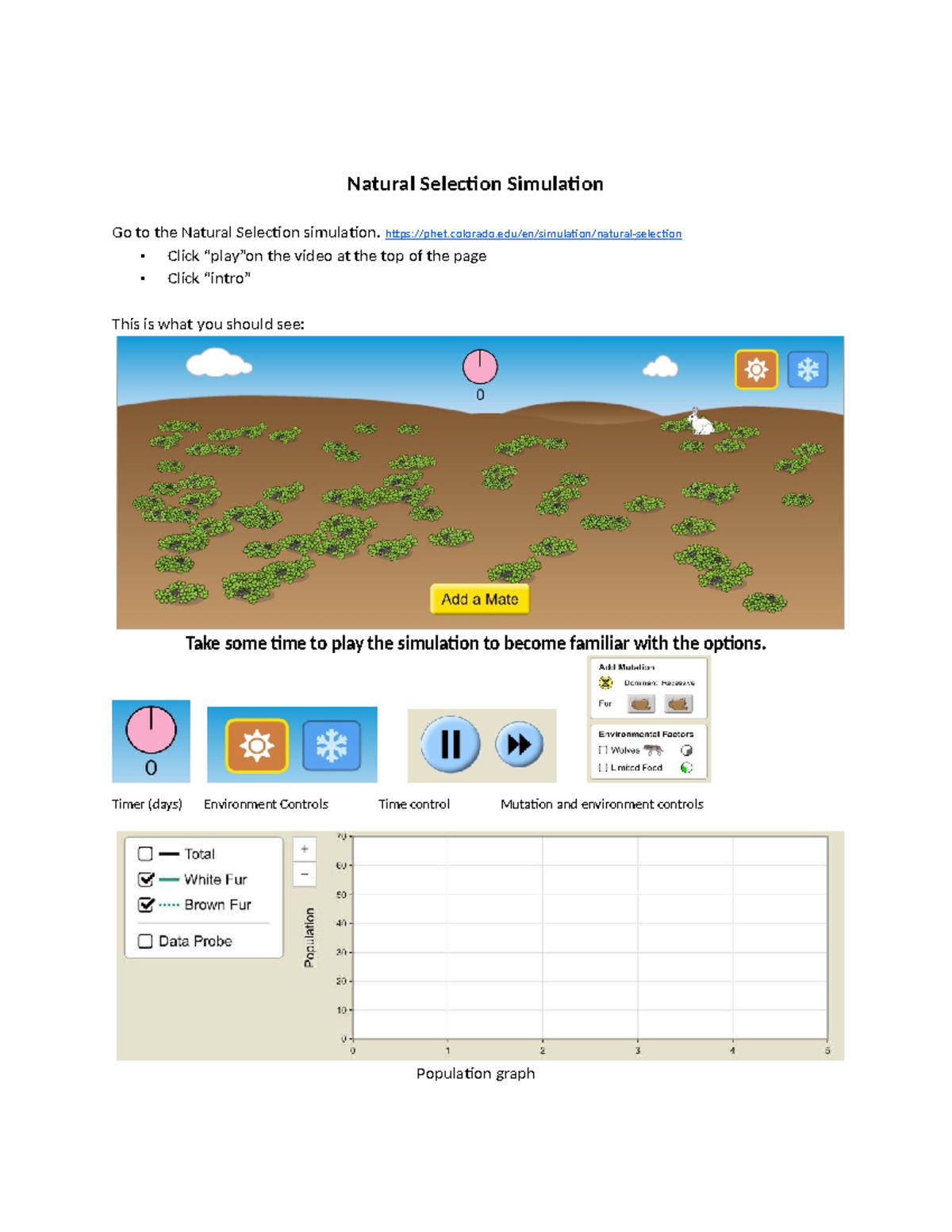 Natural Selection fillable - Natural Selection Simulation Go to the ...