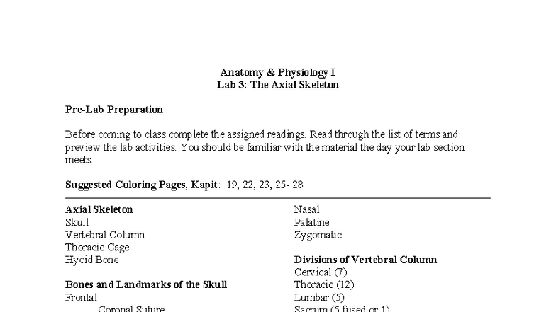 Anatomy Physiology I Lab 3: Axial Skeleton Overview and Activities ...