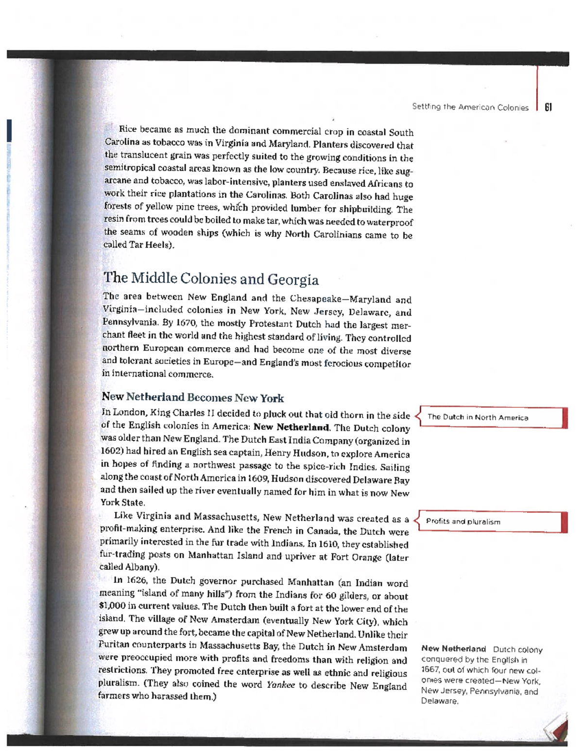 Comprehensive Study Notes for ABC 101 - Settling the American Colonies ...