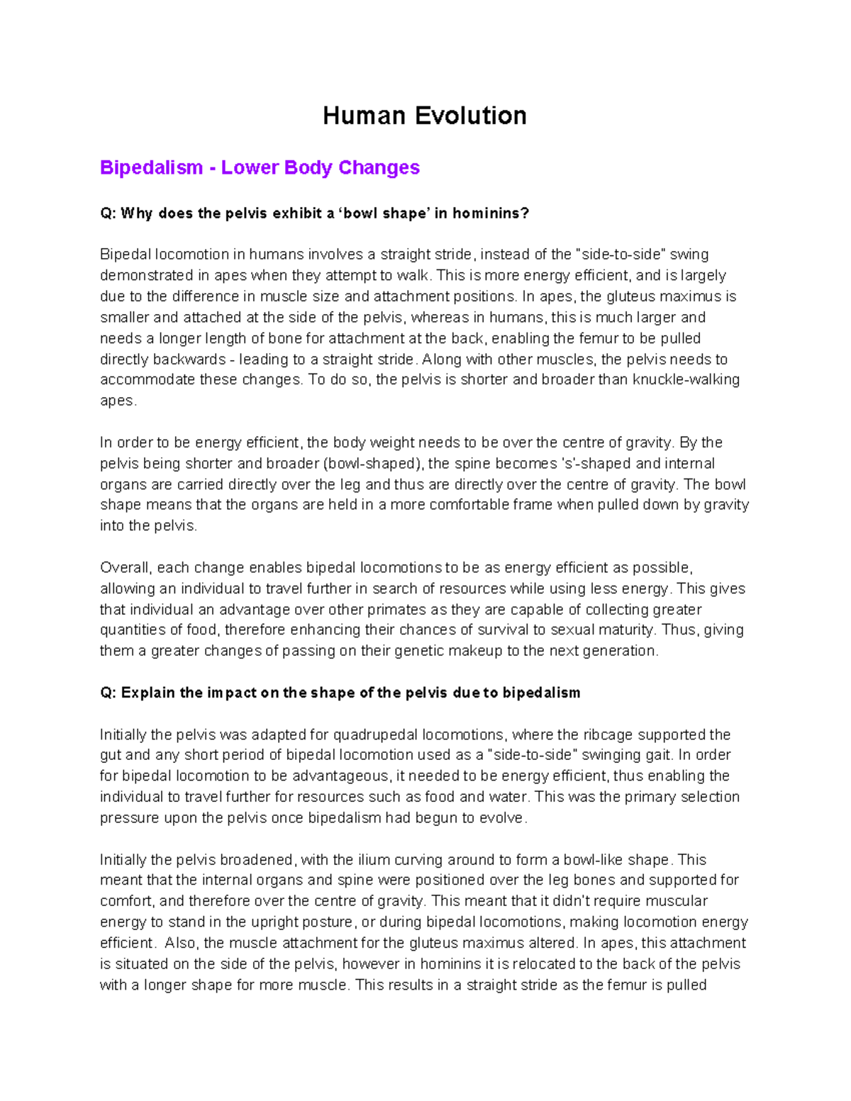 Bipedalism Evolution in Hominins: Significant Changes & Impacts - Studocu