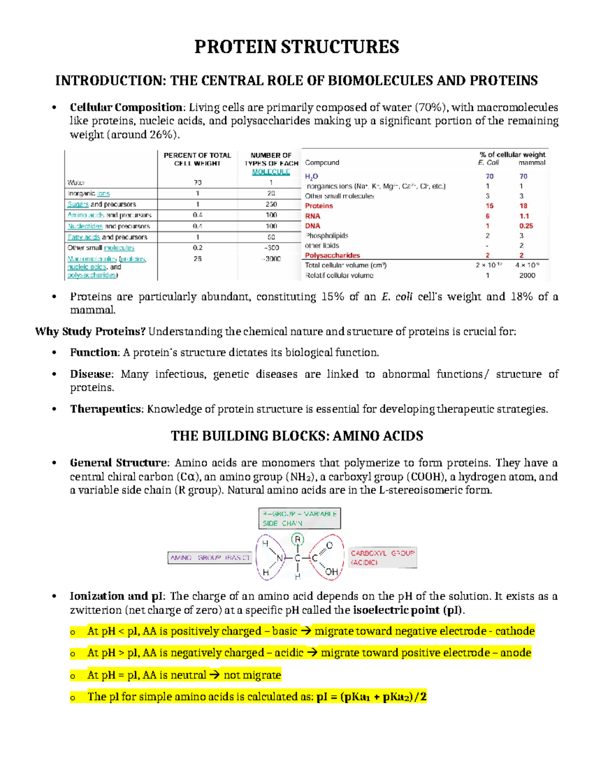 Biochemistry Study Guide: Protein Structures and Functions - Studocu