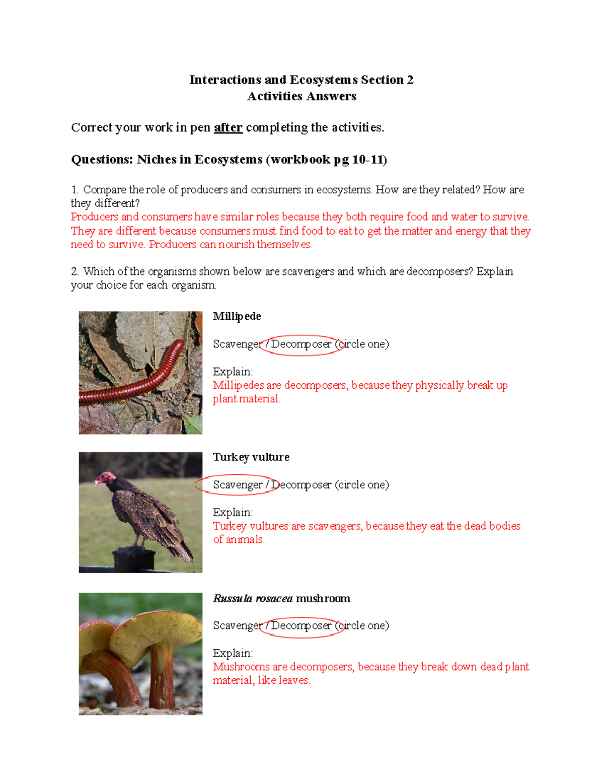 Interactions and Ecosystems Section 2 Activities Answers (ECO-102 ...