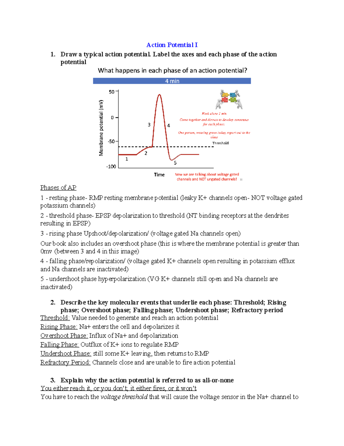 Action Potential I: Phases, Mechanisms, and Sodium Channel Function ...