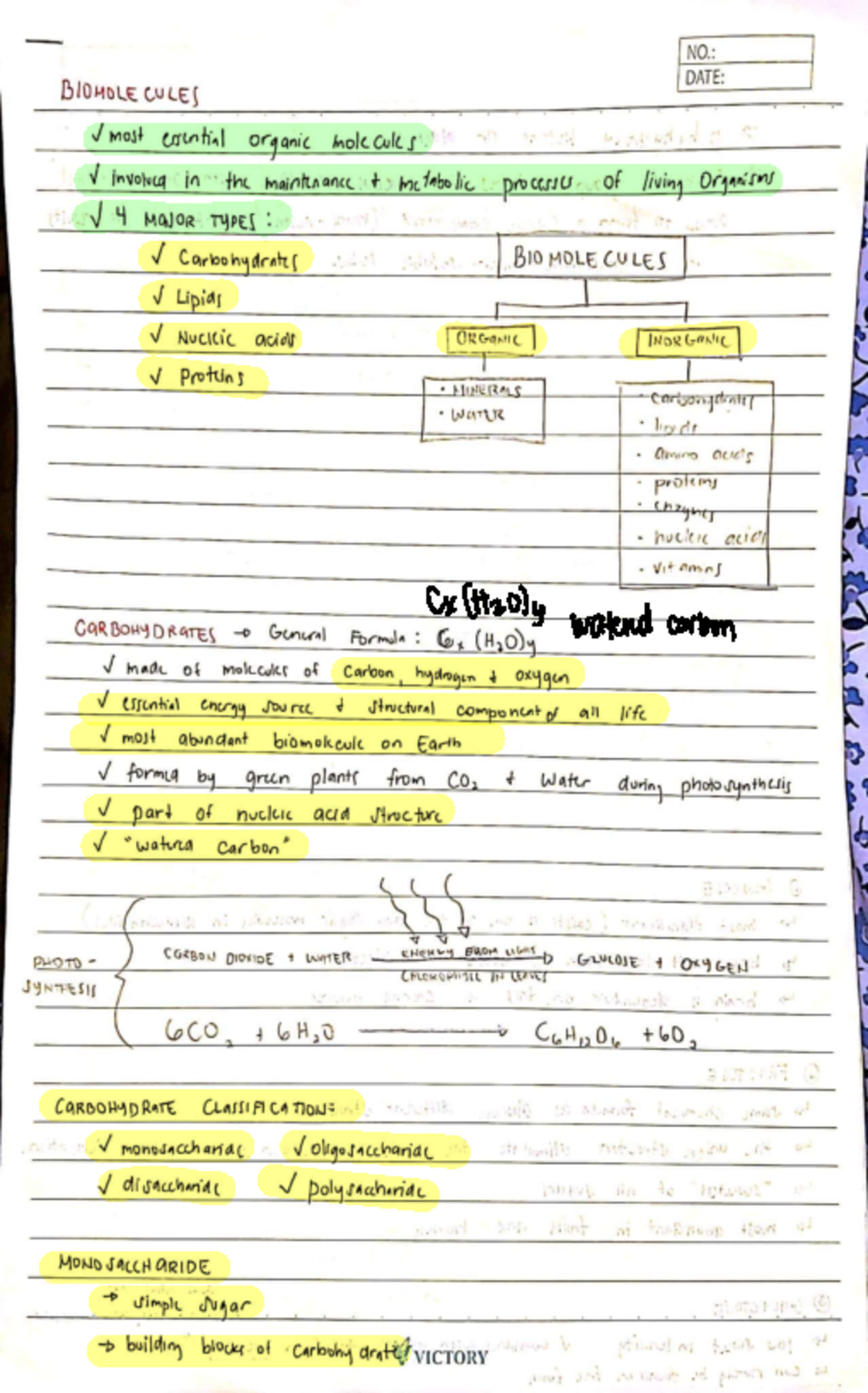 Gen Chem Notes 1 - General Chemistry - Cx(H20)y watered carbon sequence ...