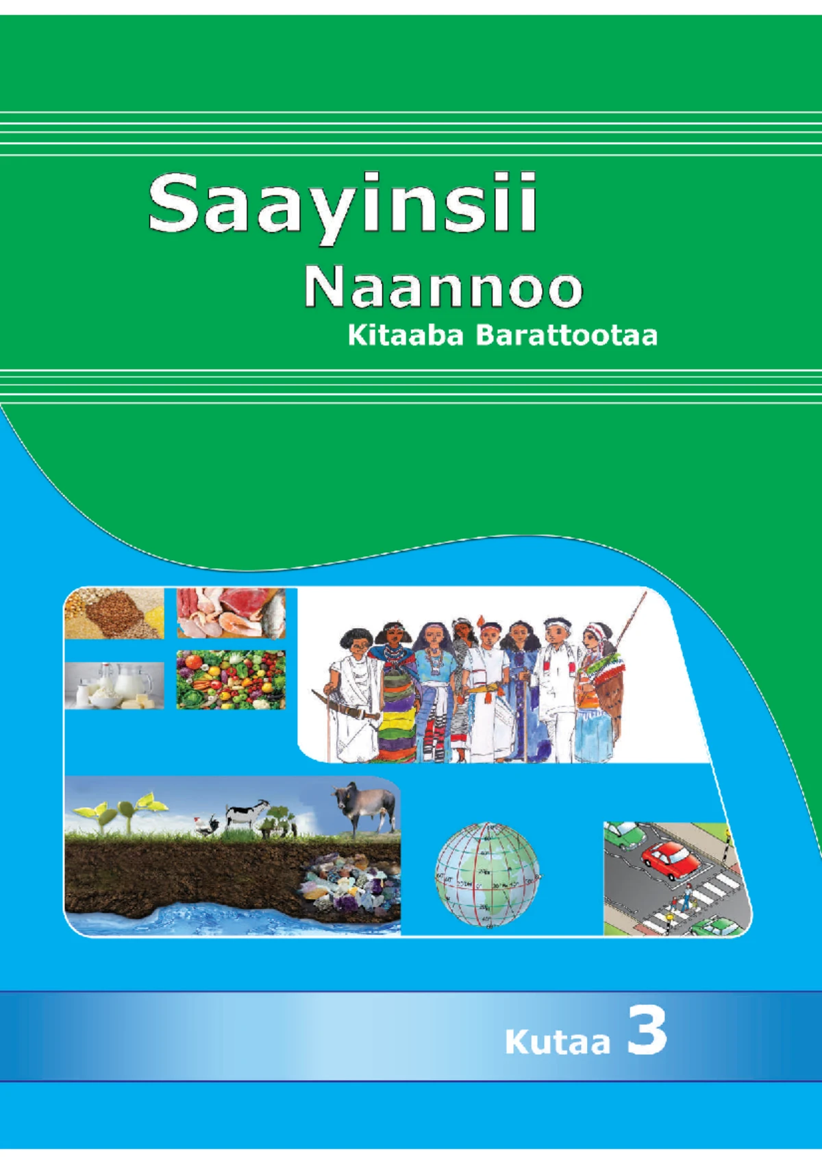 Faayidaa Nyaataa & Qulqullina Dhuunfaa - Saayinsii Naannoo Kutaa-3 ...