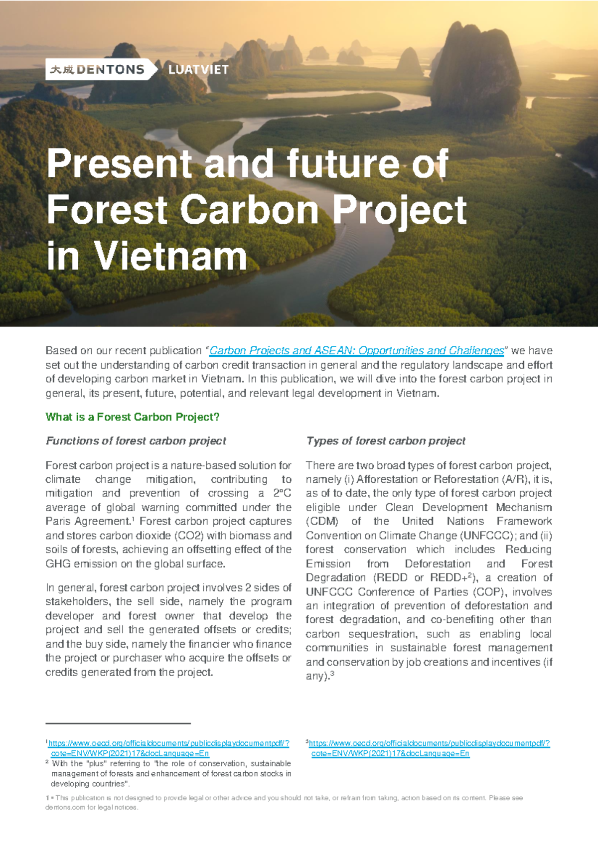 Present and Future of Forest Carbon Projects in VN: Insights ...