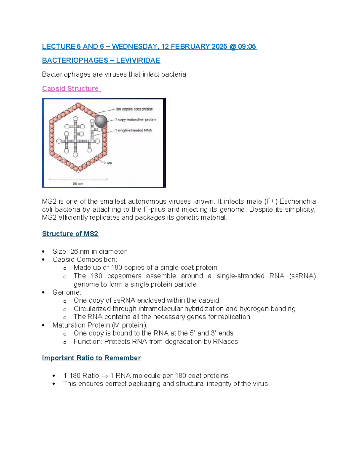 LECTURE 5 & 6: Bacteriophages Leviviridae (MS2) Overview - Studocu
