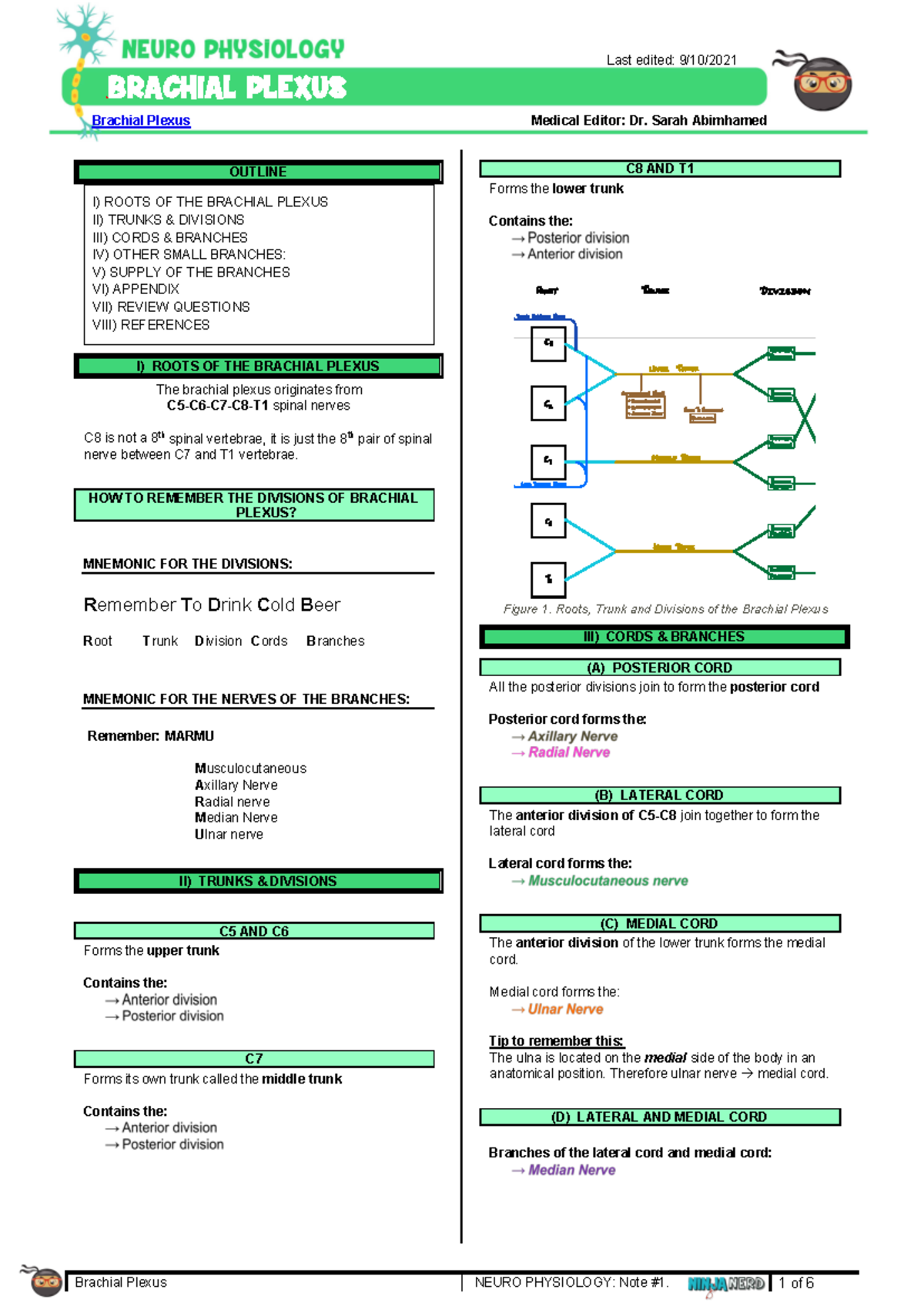 Brachial Plexus - 1 of 6 1. BRACHIAL PLEXUS Brachial Plexus Medical ...