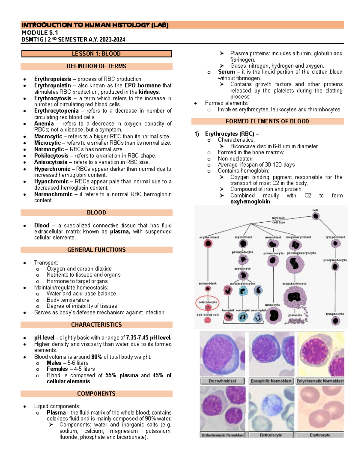 Histology 1 - MUSCULAR TISSUES - MODULE 5. BSMT1G | 2ND SEMESTER A. 2023- 2024 LESSON 1: BLOOD ...