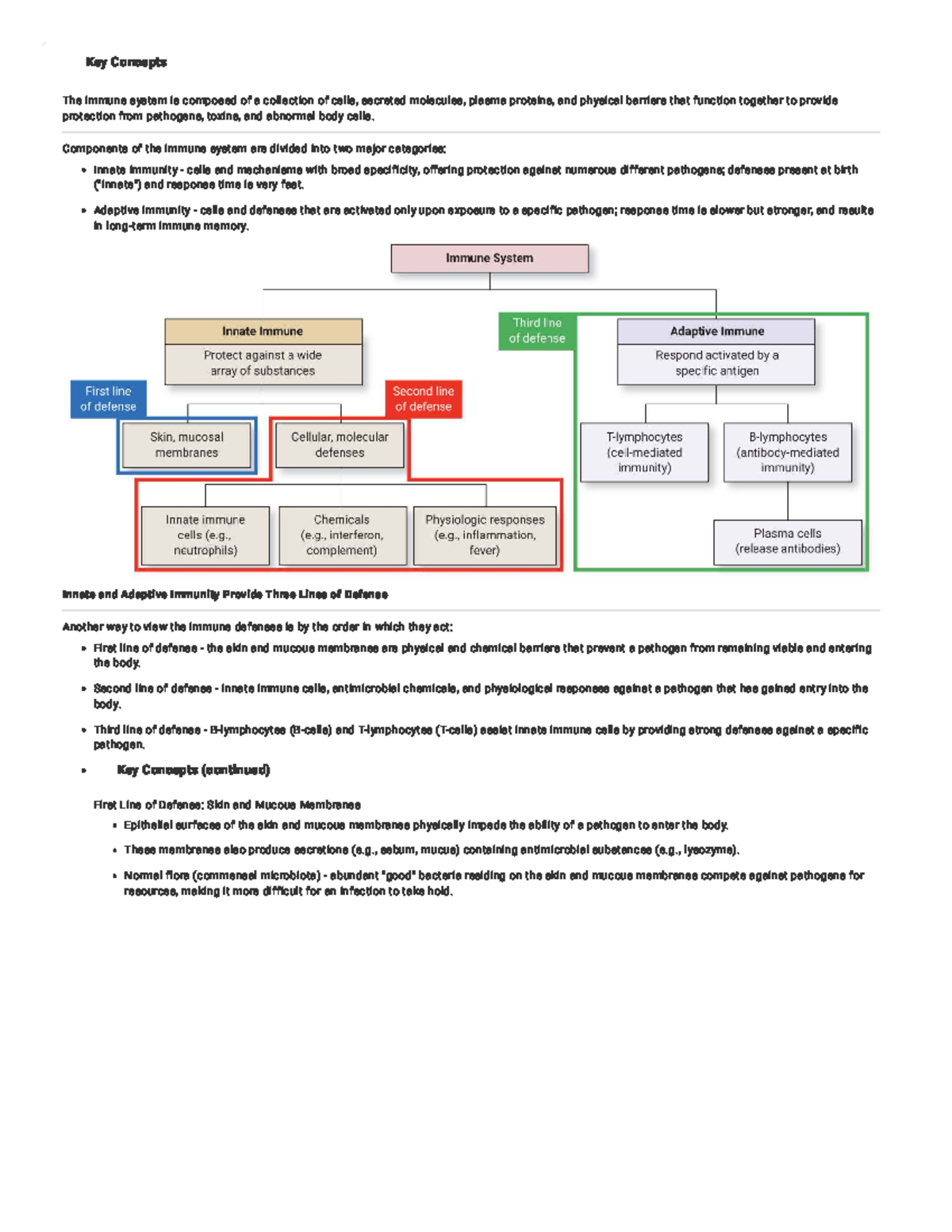 Immune System Overview: Innate and Adaptive Immunity - Studocu