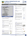 PAR1501 Practice materials - Unisa - Studocu