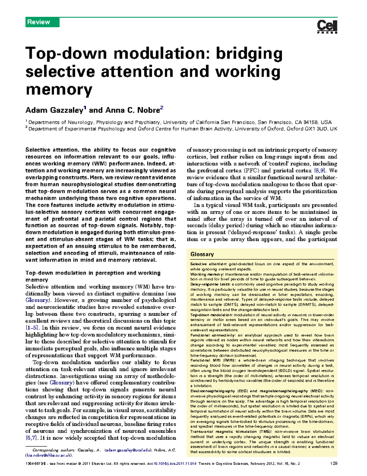 Top-Down Modulation in Cognitive Psychology: Bridging Attention & WM - Top-down modulation ...