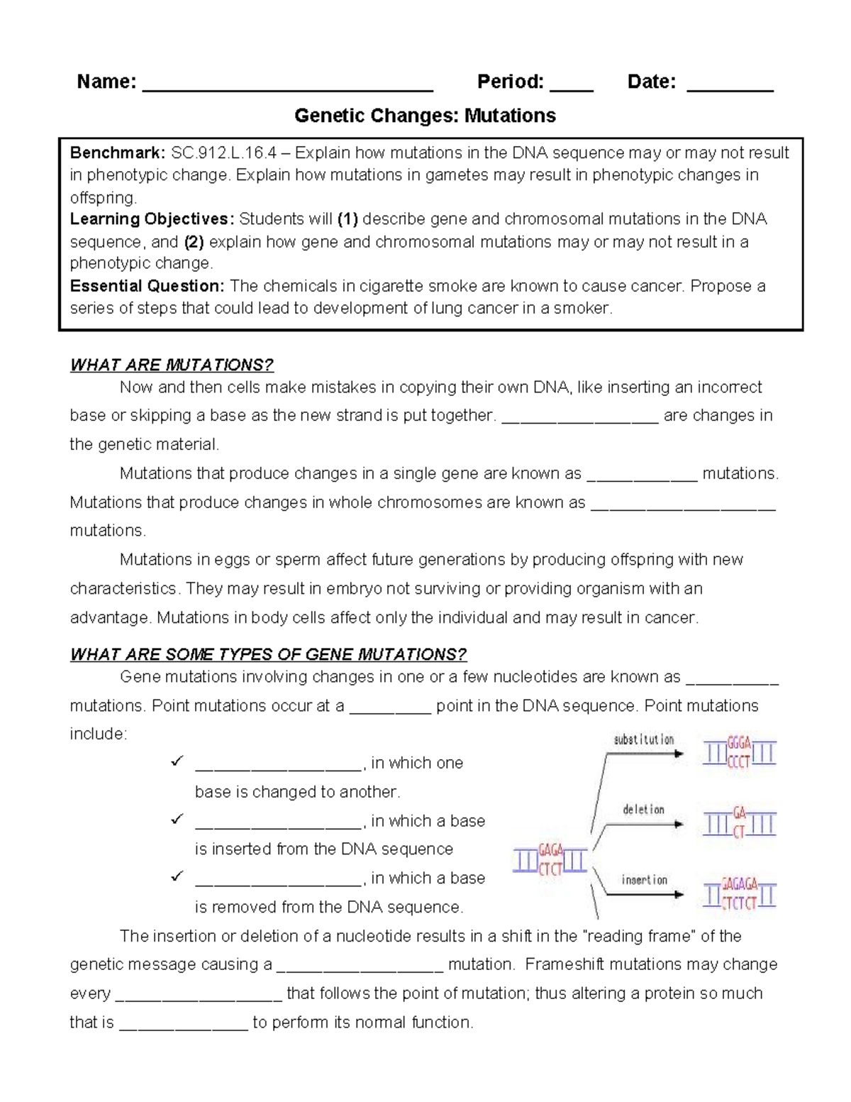 Genetic Mutations: Understanding DNA Changes - SC.912.L.16.4 - Studocu