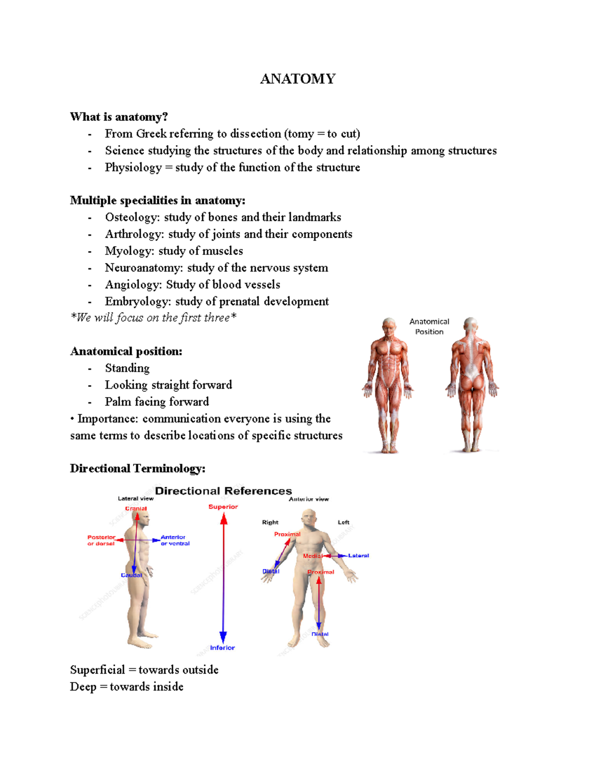 Anatomy 101: Unit 1 Lecture Notes on Human Structure & Function - Studocu
