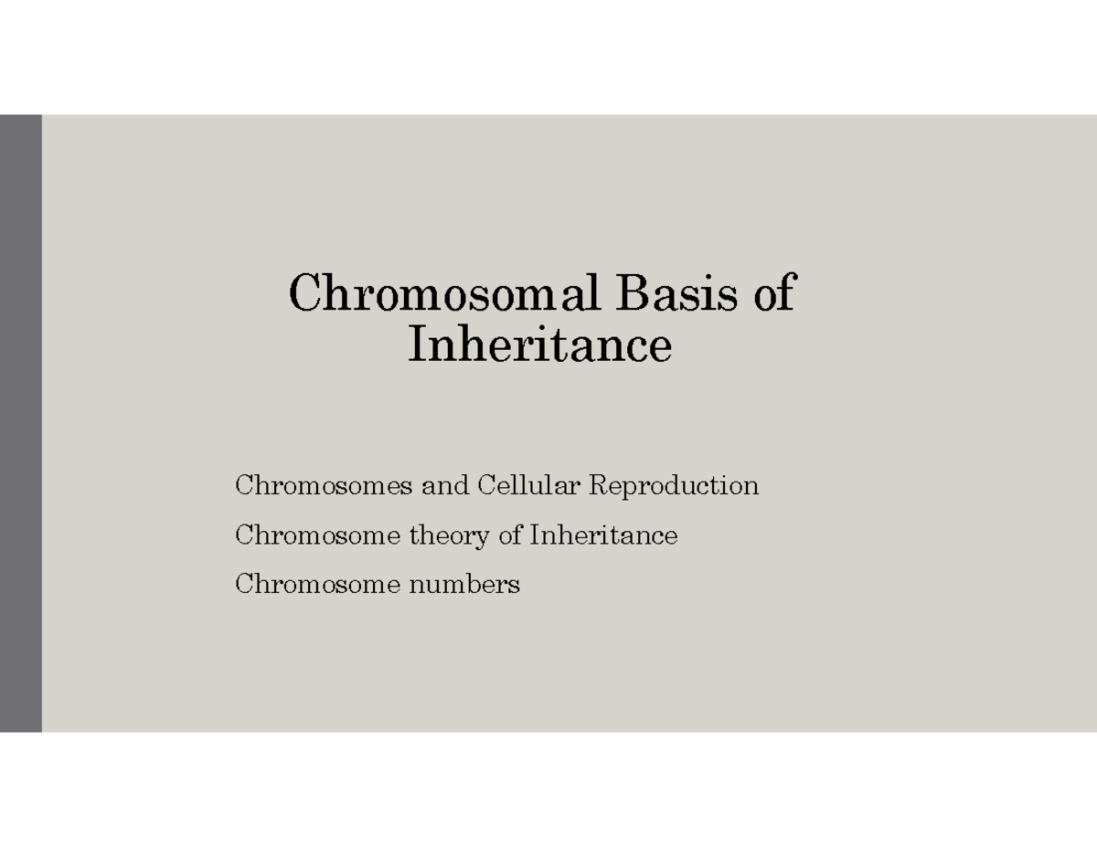 Understanding Mitosis and Meiosis: A Study Guide for BIO 101 - Studocu