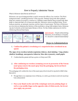 [Solved] Week 5 Assignment CONCEPT WORKSHEET Applying Typography Layout ...