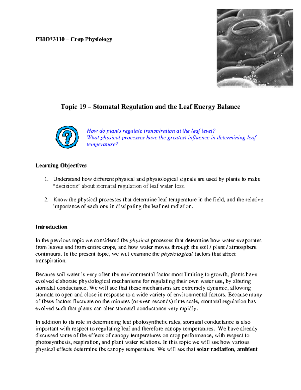 Topic 19 - Stomatal Regulation and the Leaf Energy Balance - PBIO*3110 – Crop Physiology Topic ...